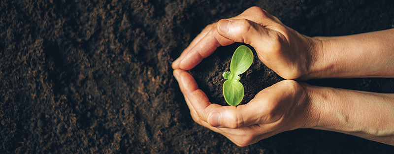 From the ground up: Gardening and the art of portfolio management